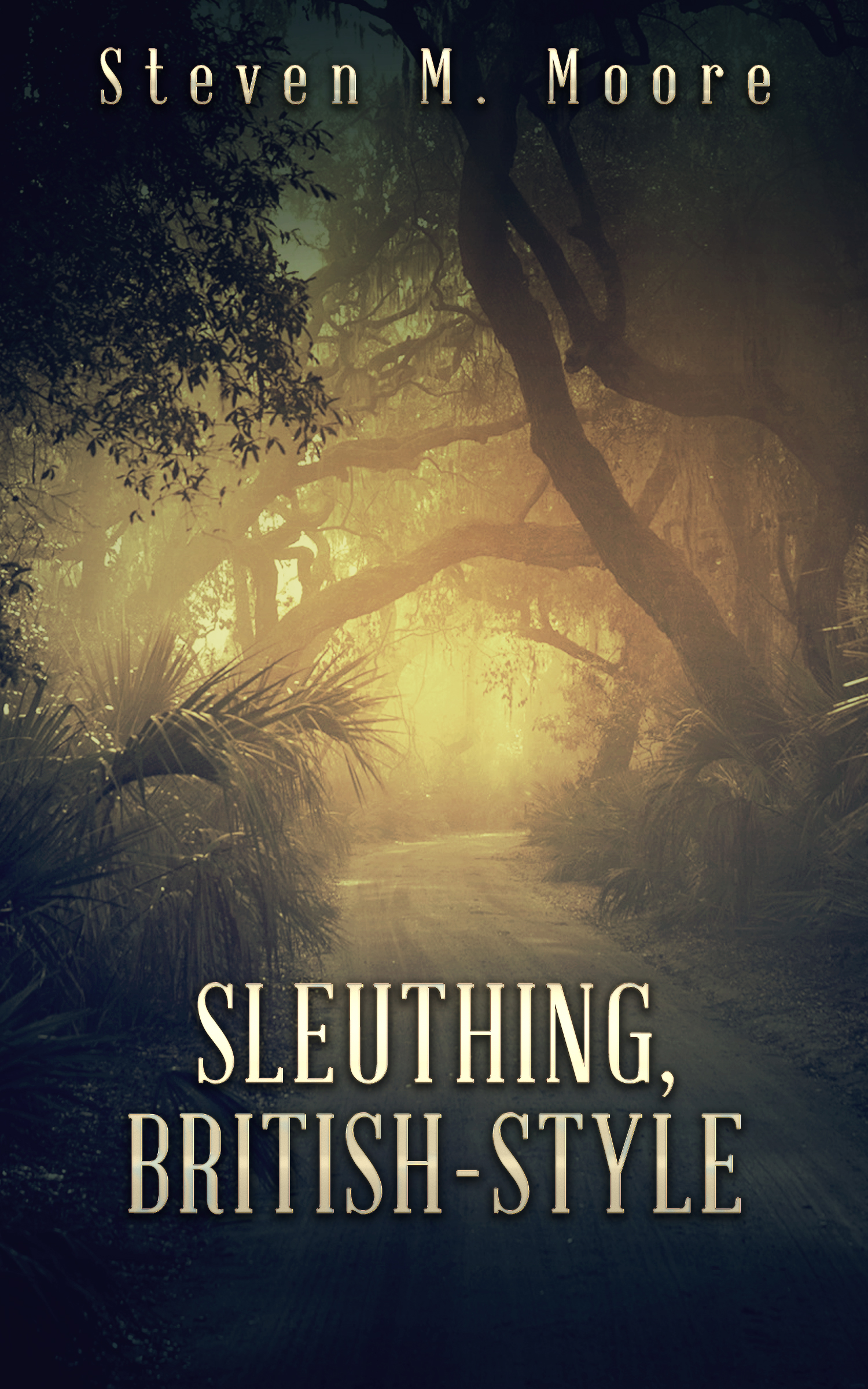 Steven Moore Blog Archive Promoting A Series 